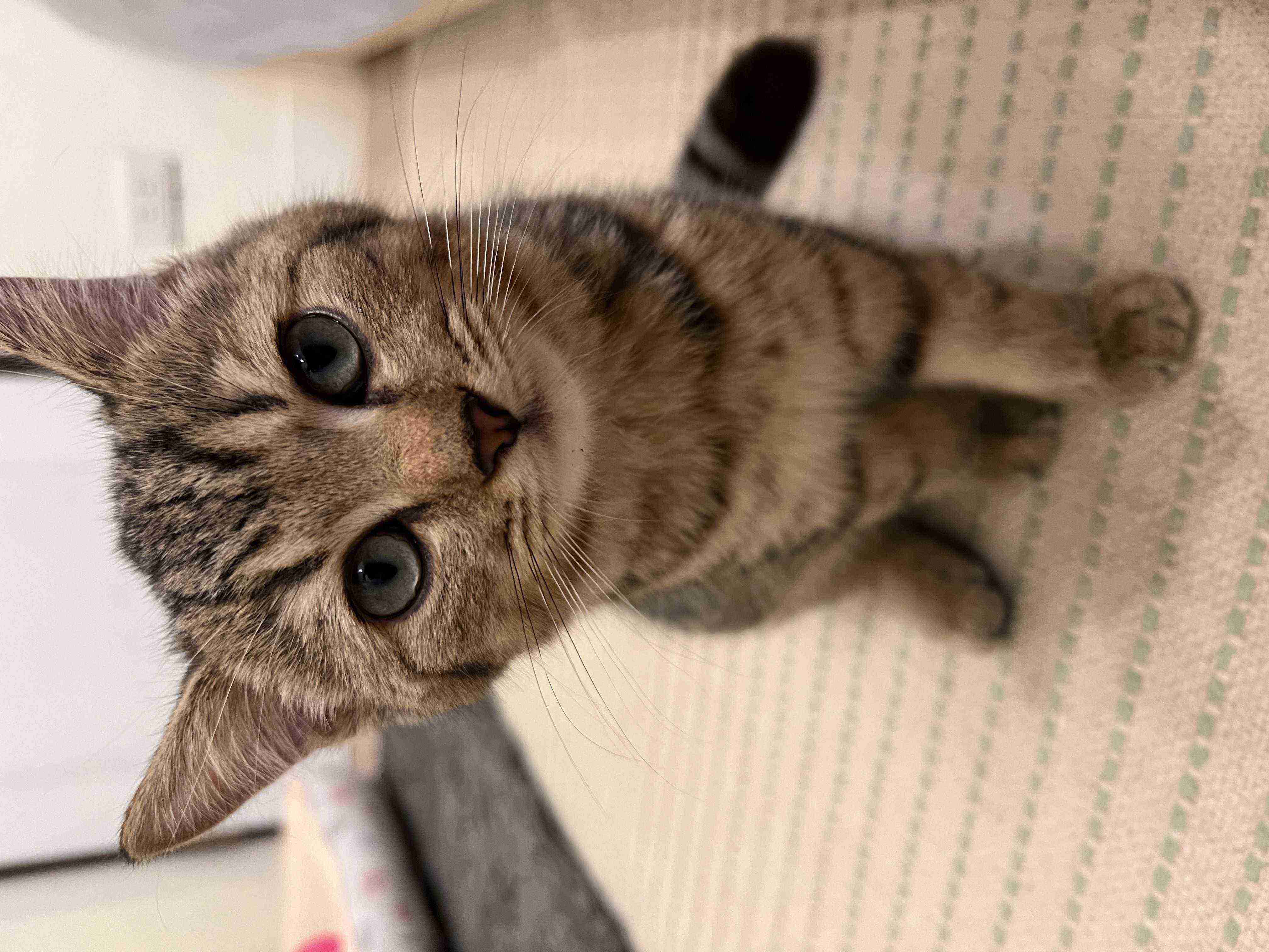 Gallery | Morris Yu-Chao Huang