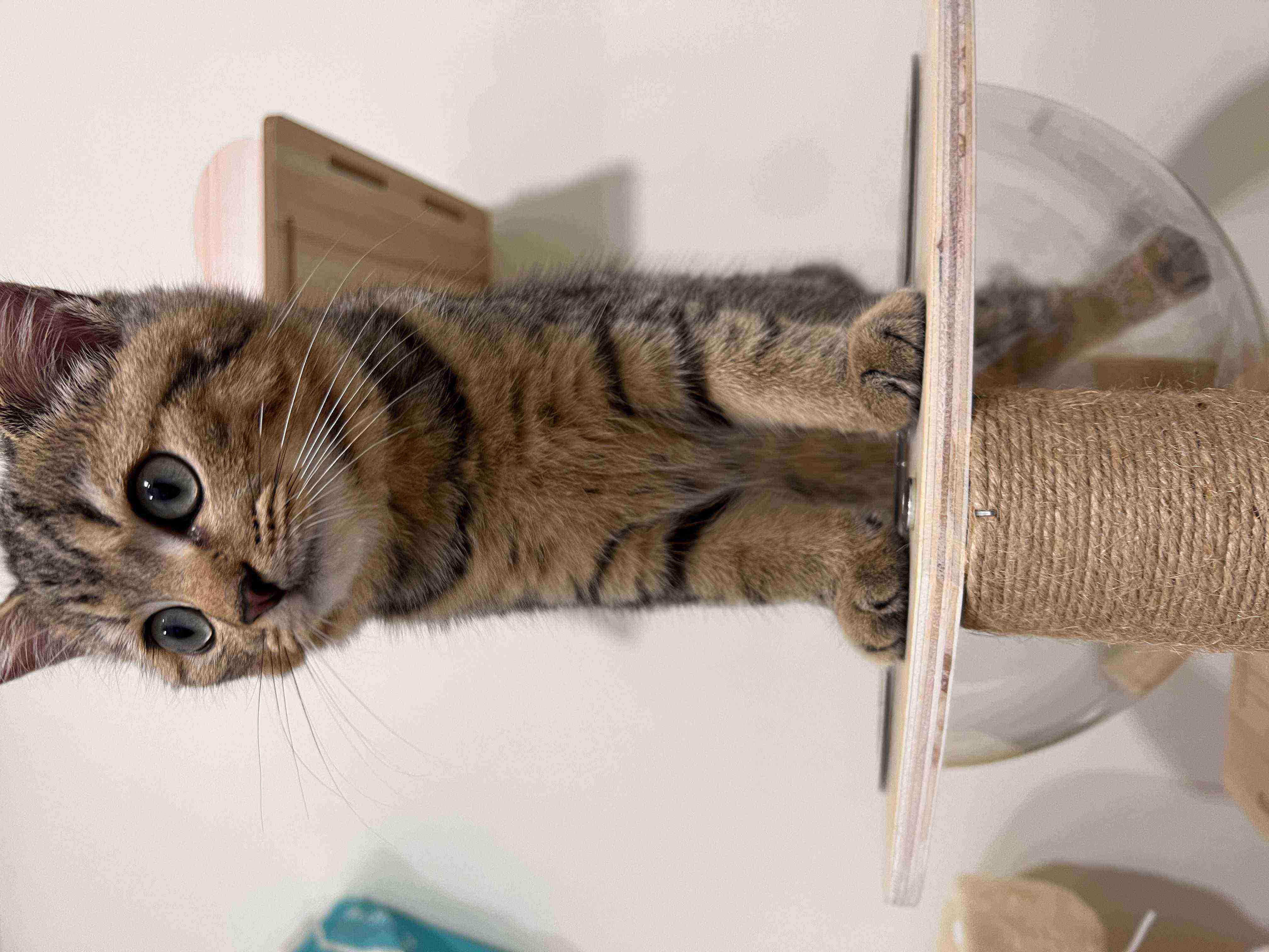 Gallery | Morris Yu-Chao Huang