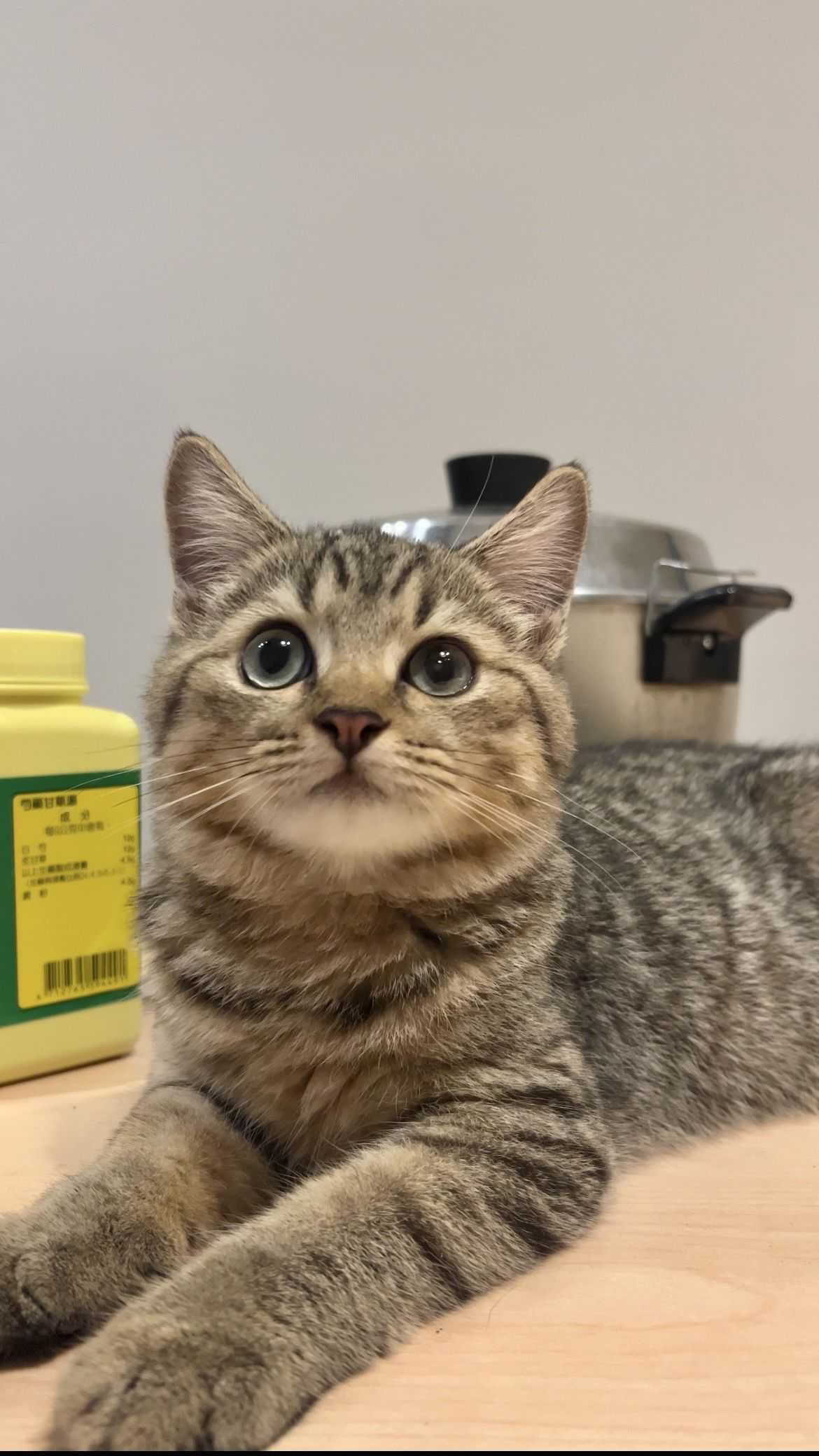 Gallery | Morris Yu-Chao Huang