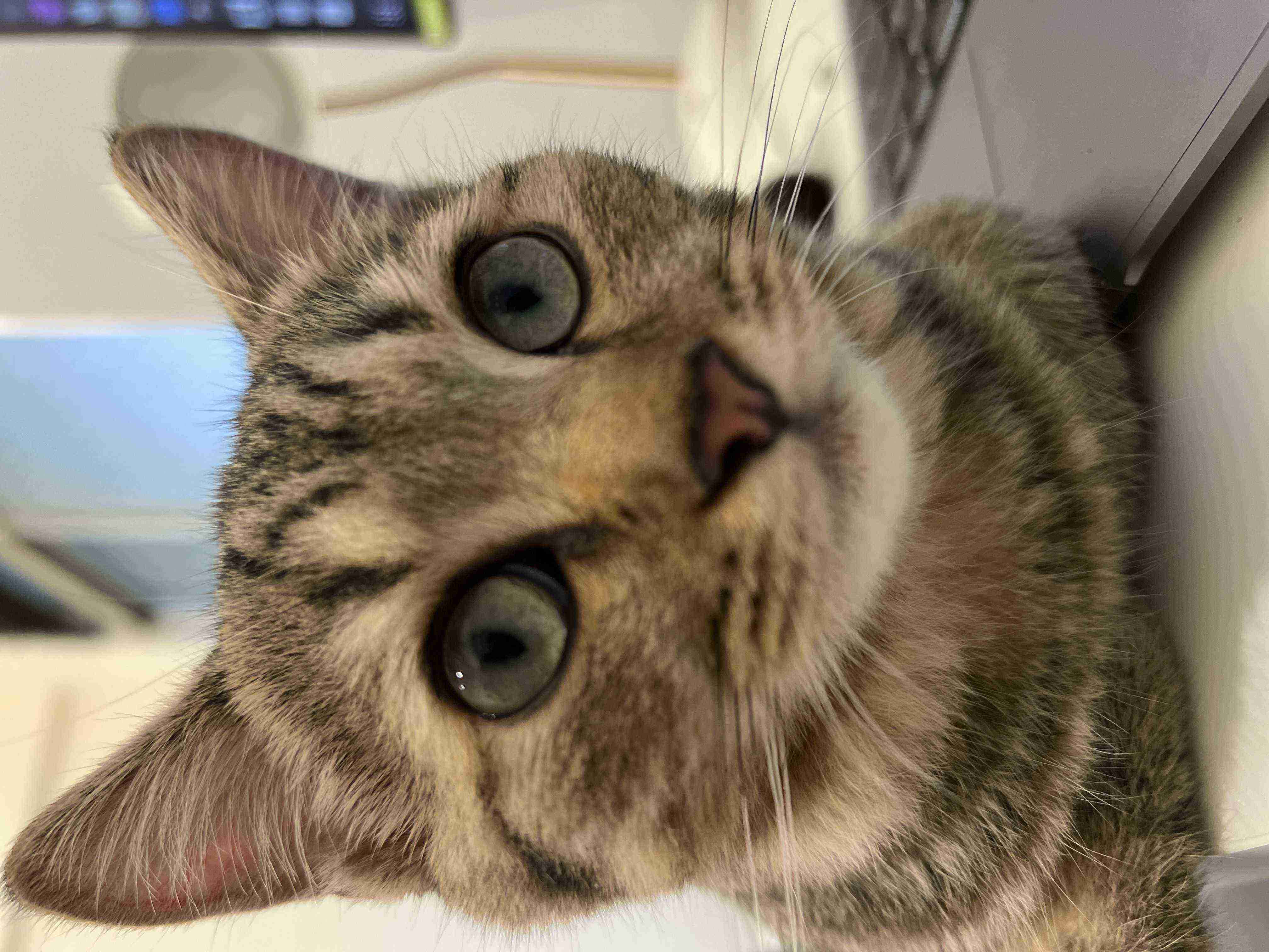 Gallery | Morris Yu-Chao Huang