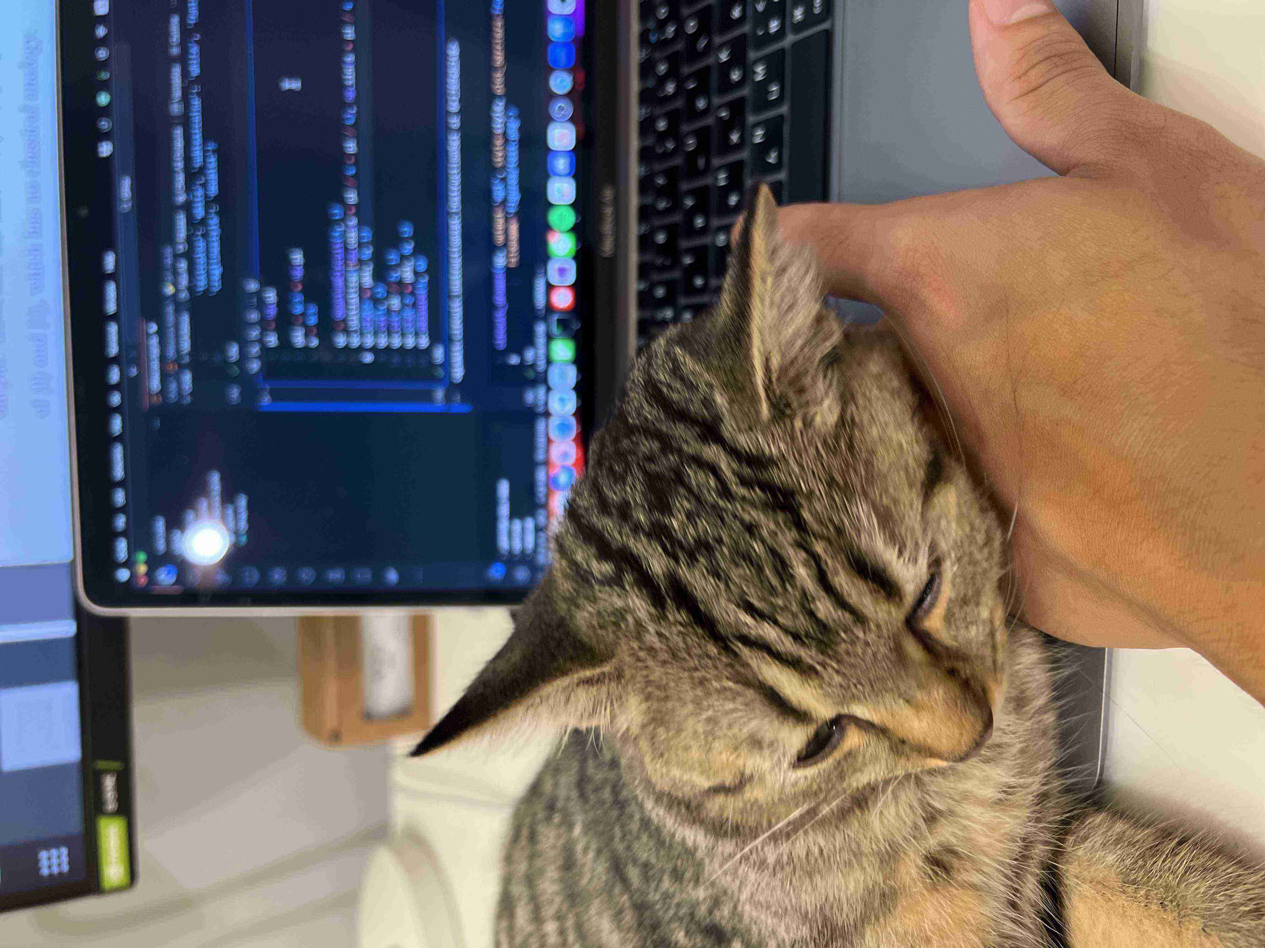 Gallery | Morris Yu-Chao Huang