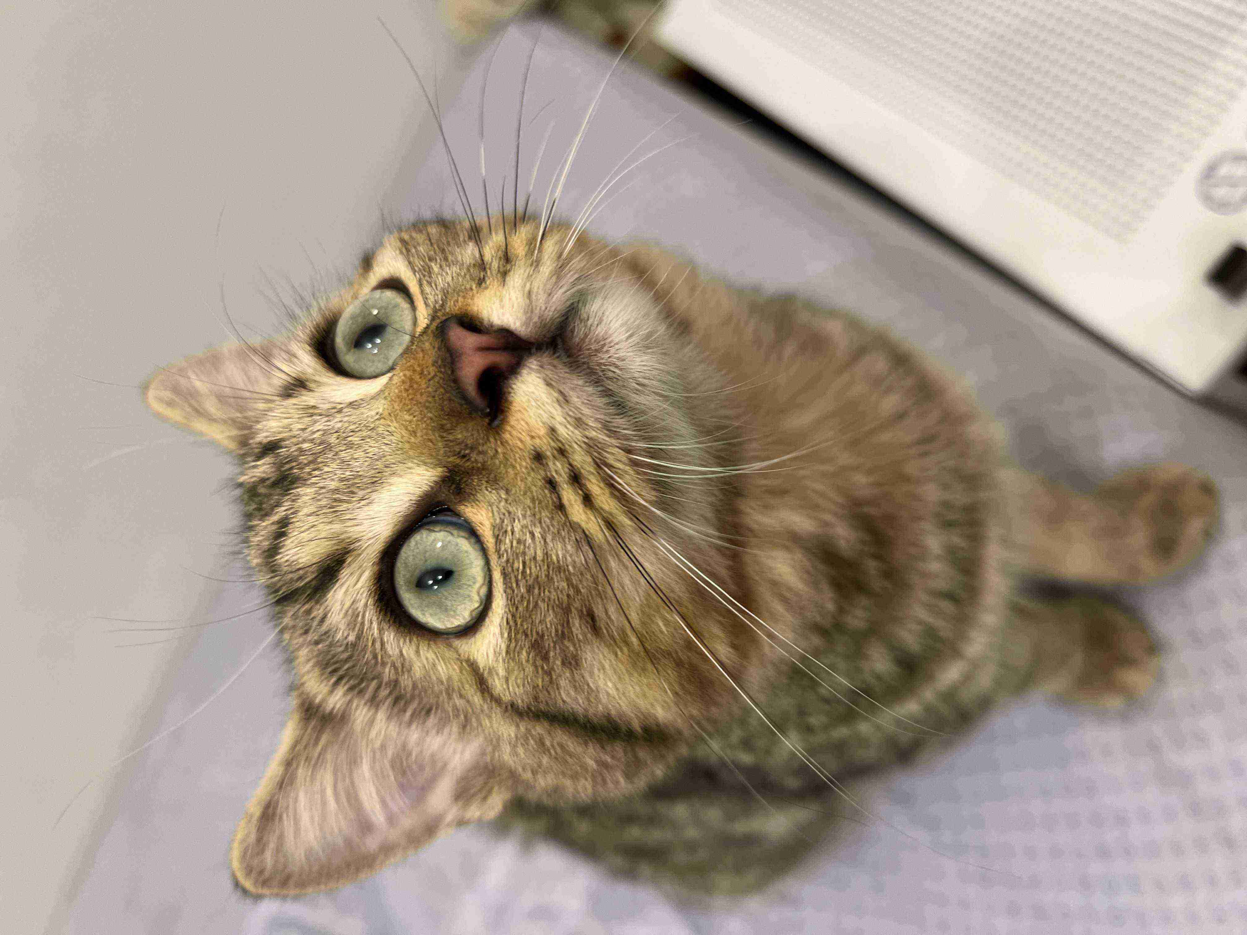 Gallery | Morris Yu-Chao Huang