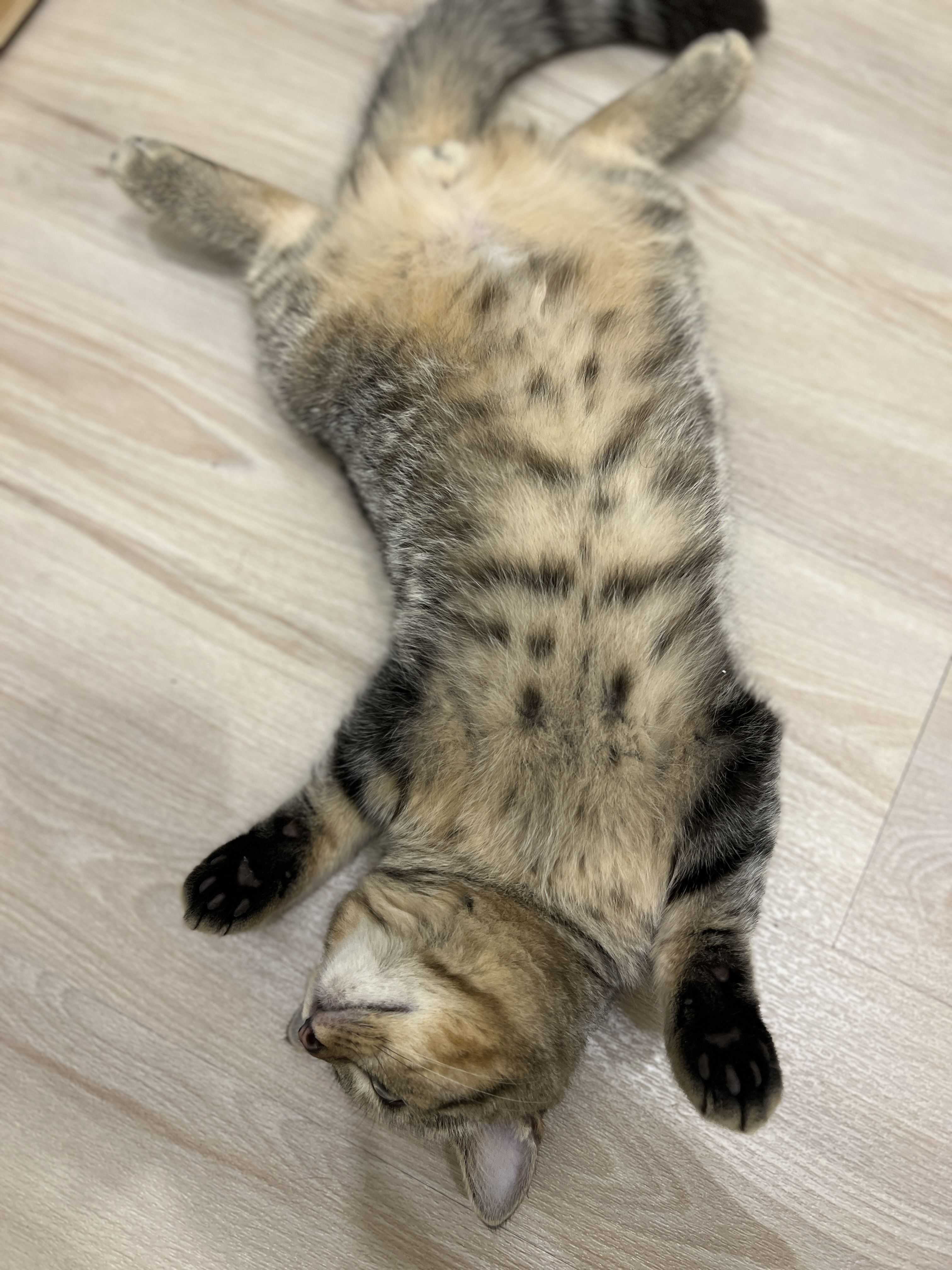 Gallery | Morris Yu-Chao Huang