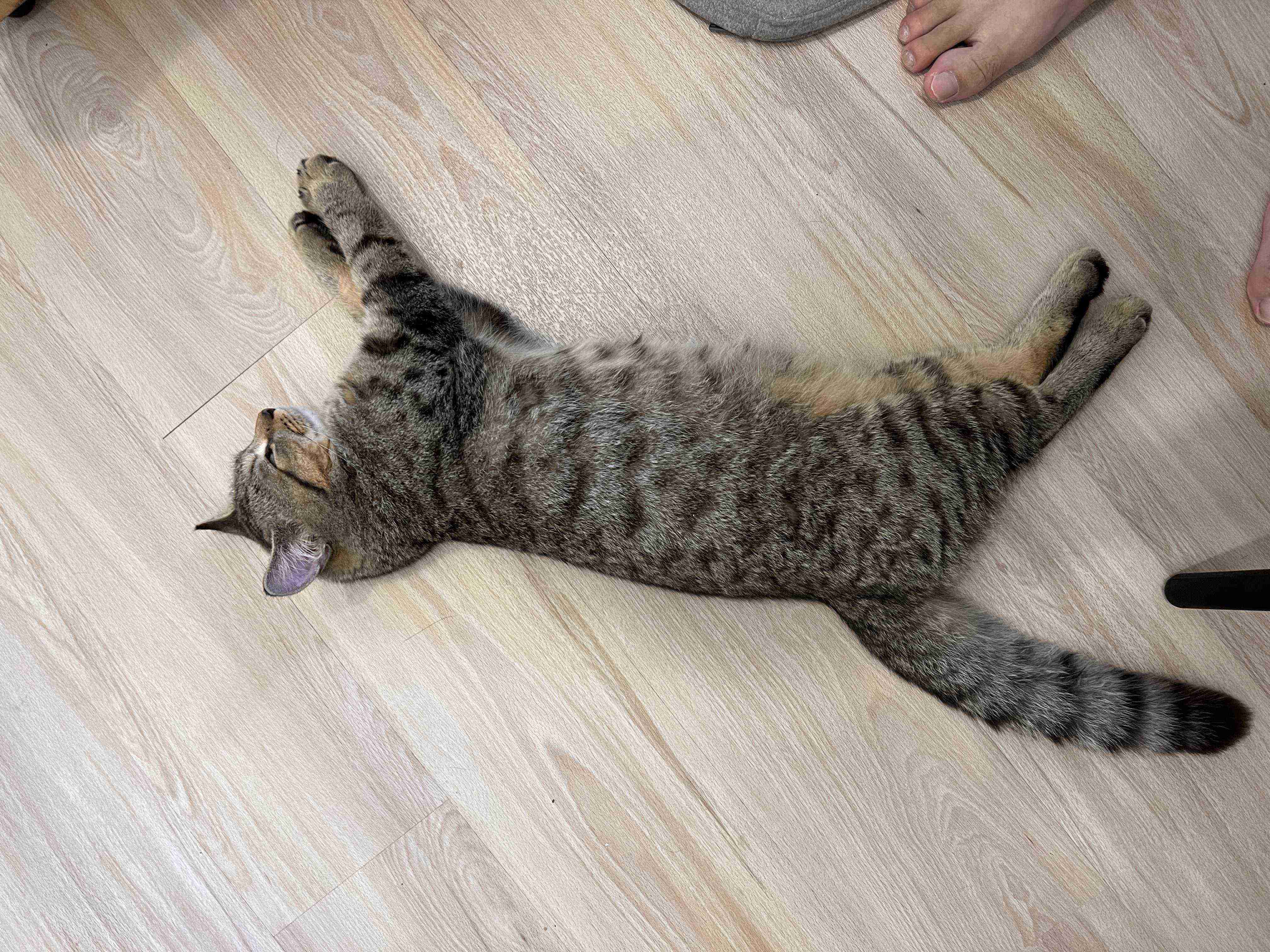 Gallery | Yu-Chao (Morris) Huang