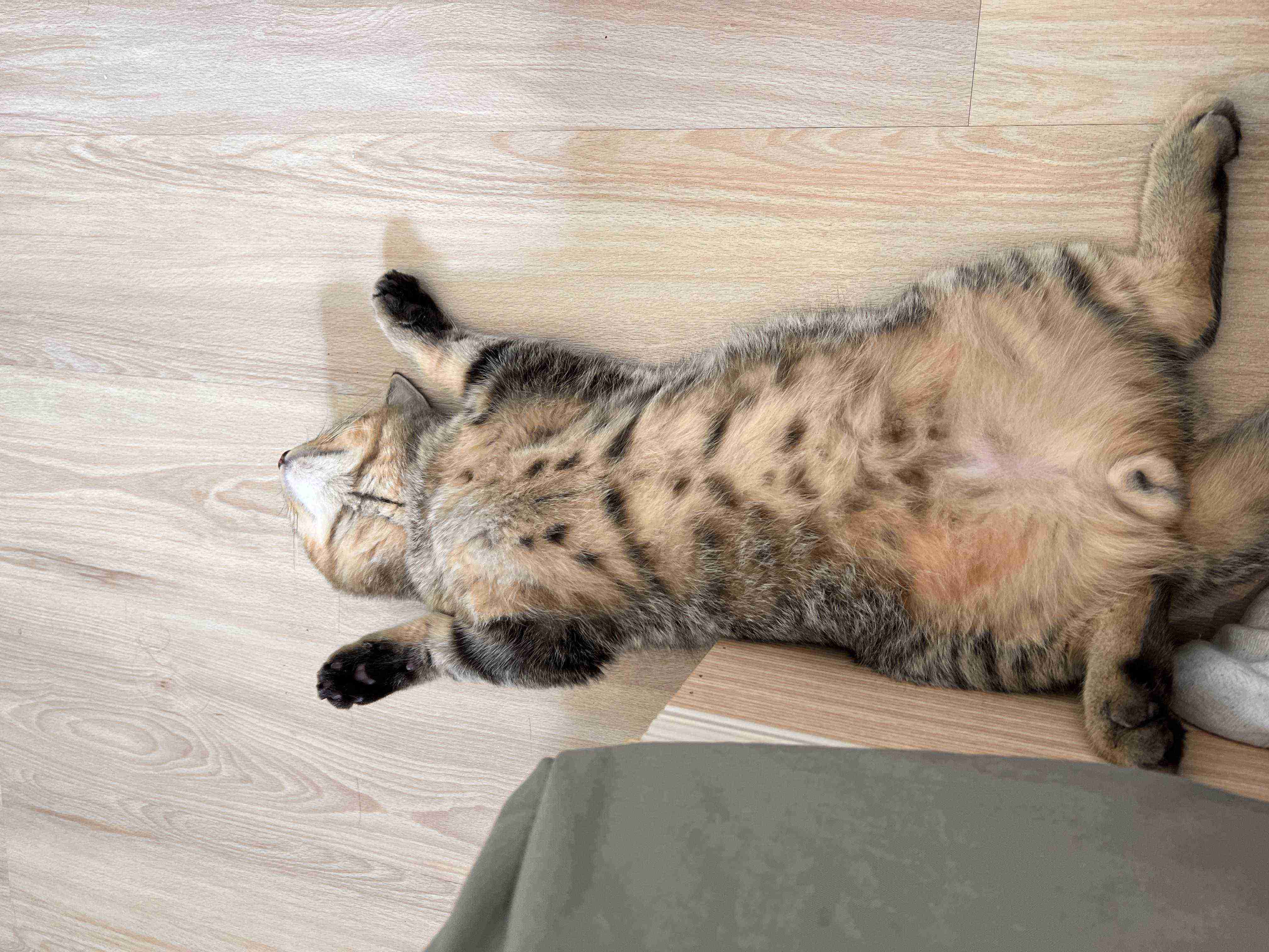 Gallery | Morris Yu-Chao Huang