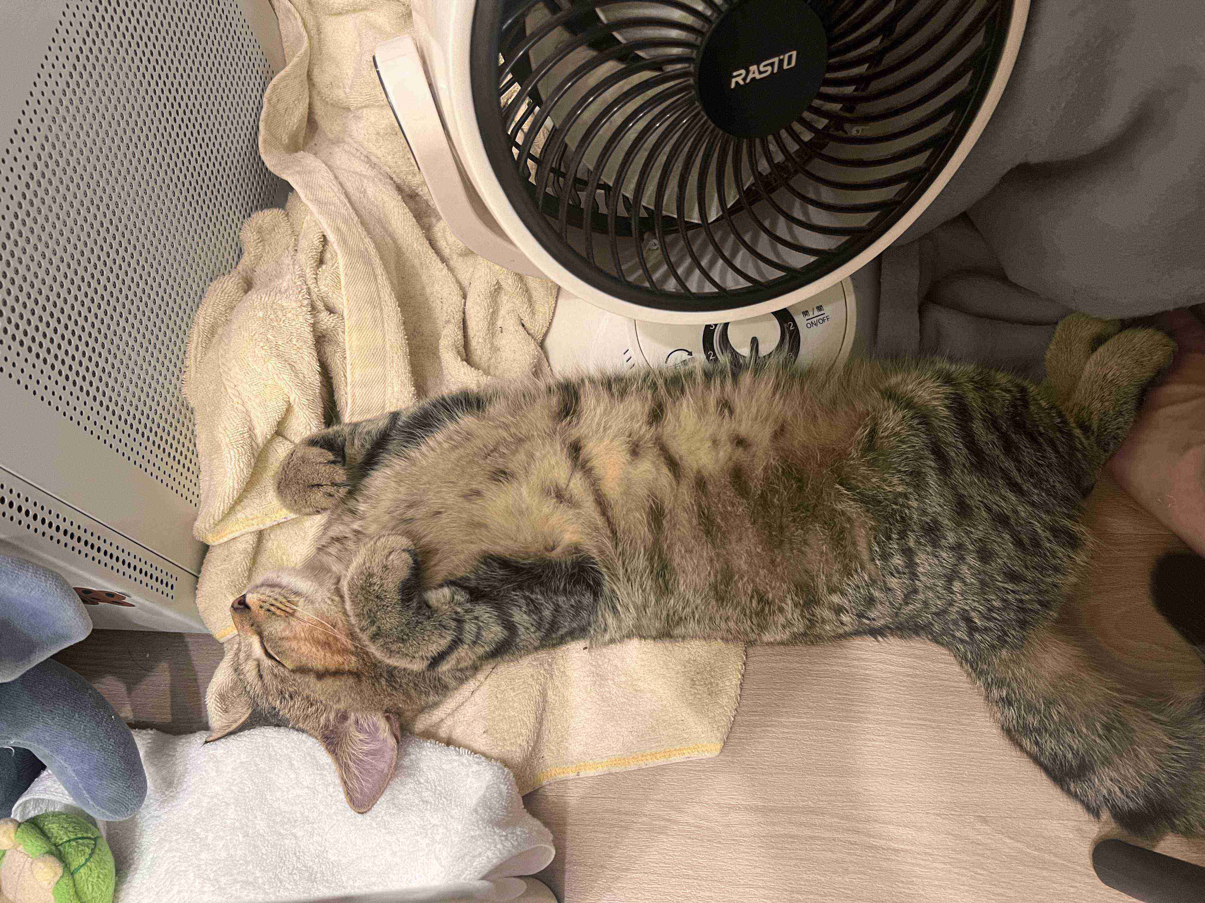 Gallery | Morris Yu-Chao Huang