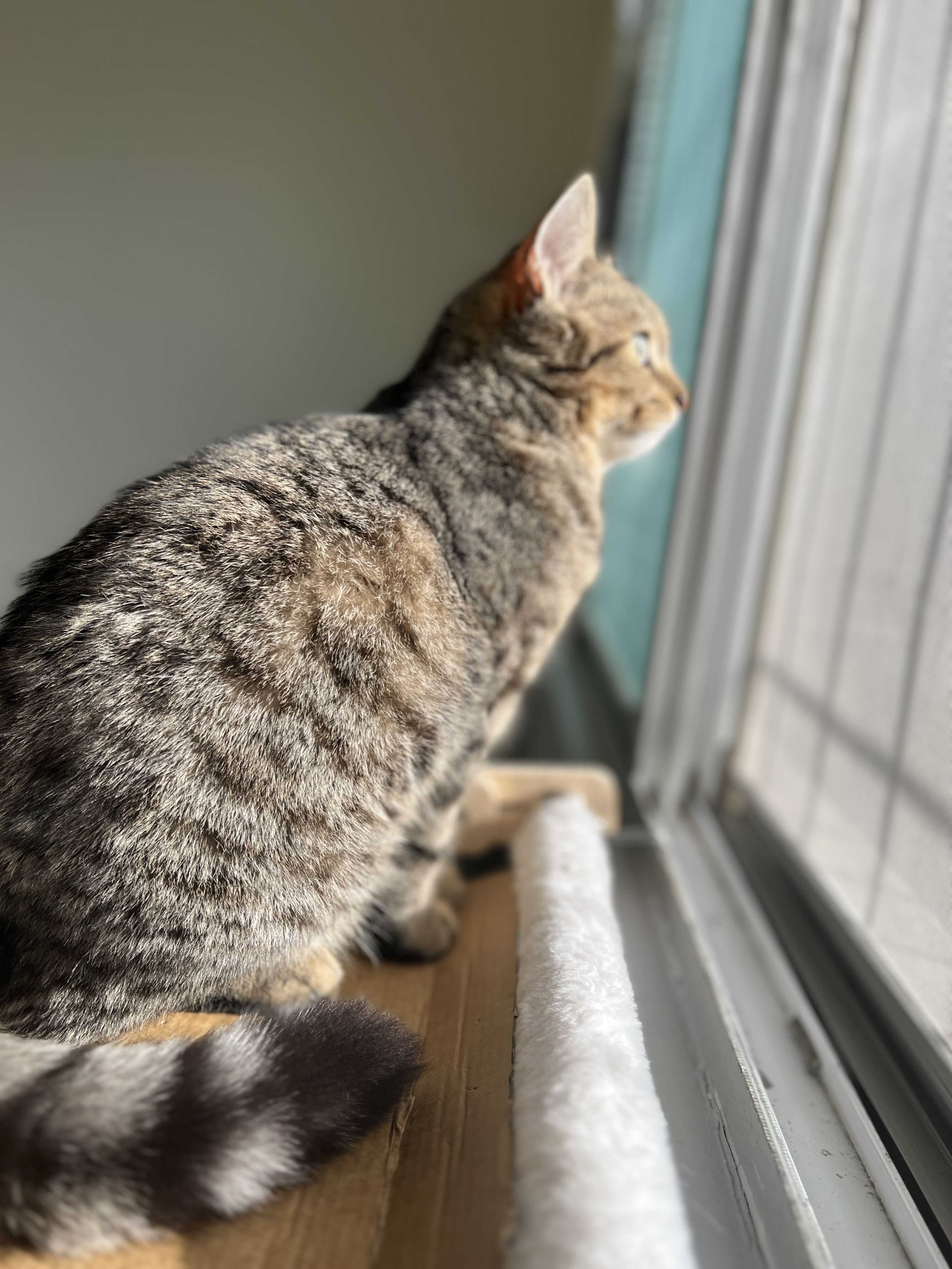 Gallery | Morris Yu-Chao Huang