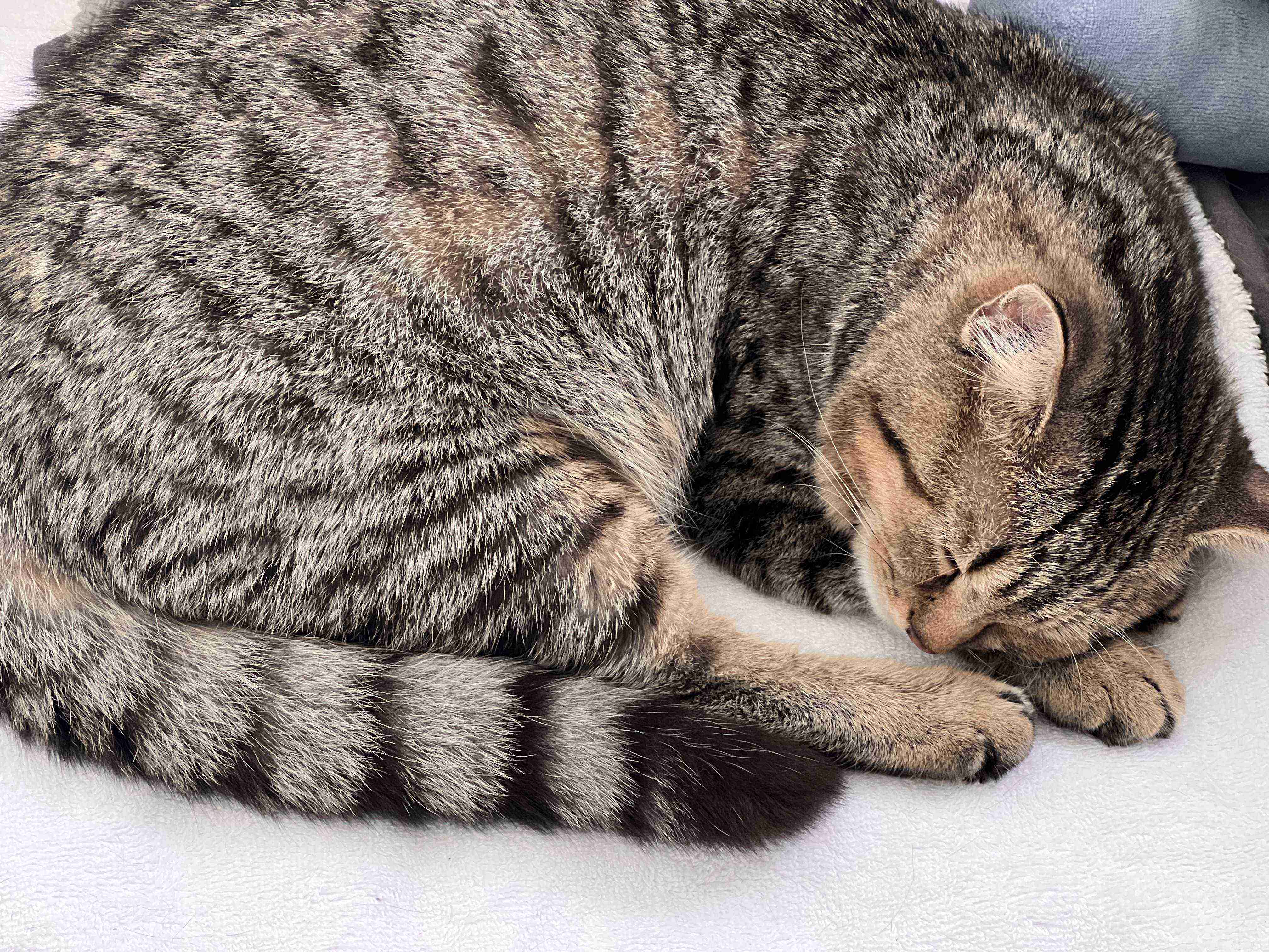 Gallery | Morris Yu-Chao Huang