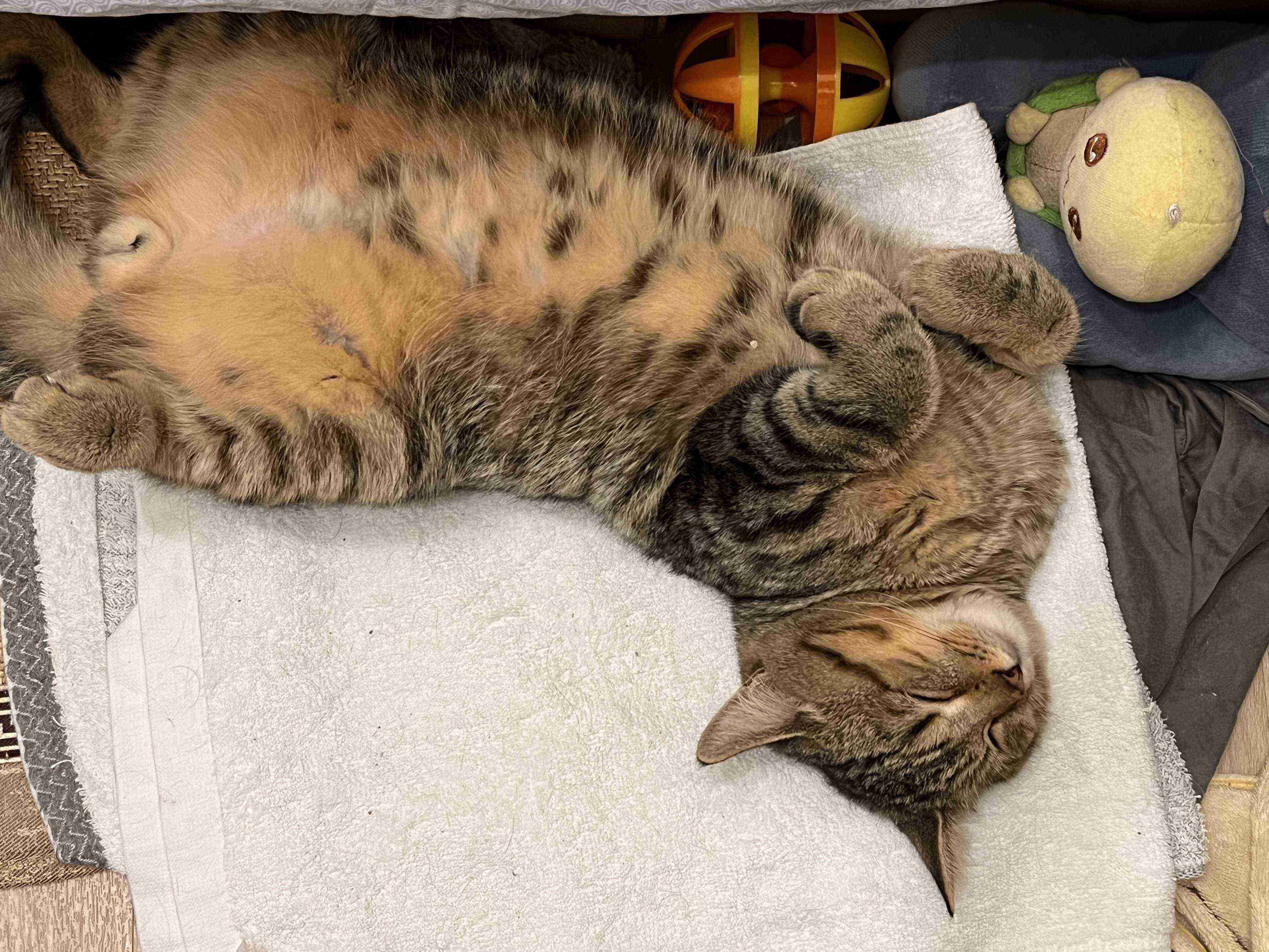 Gallery | Morris Yu-Chao Huang