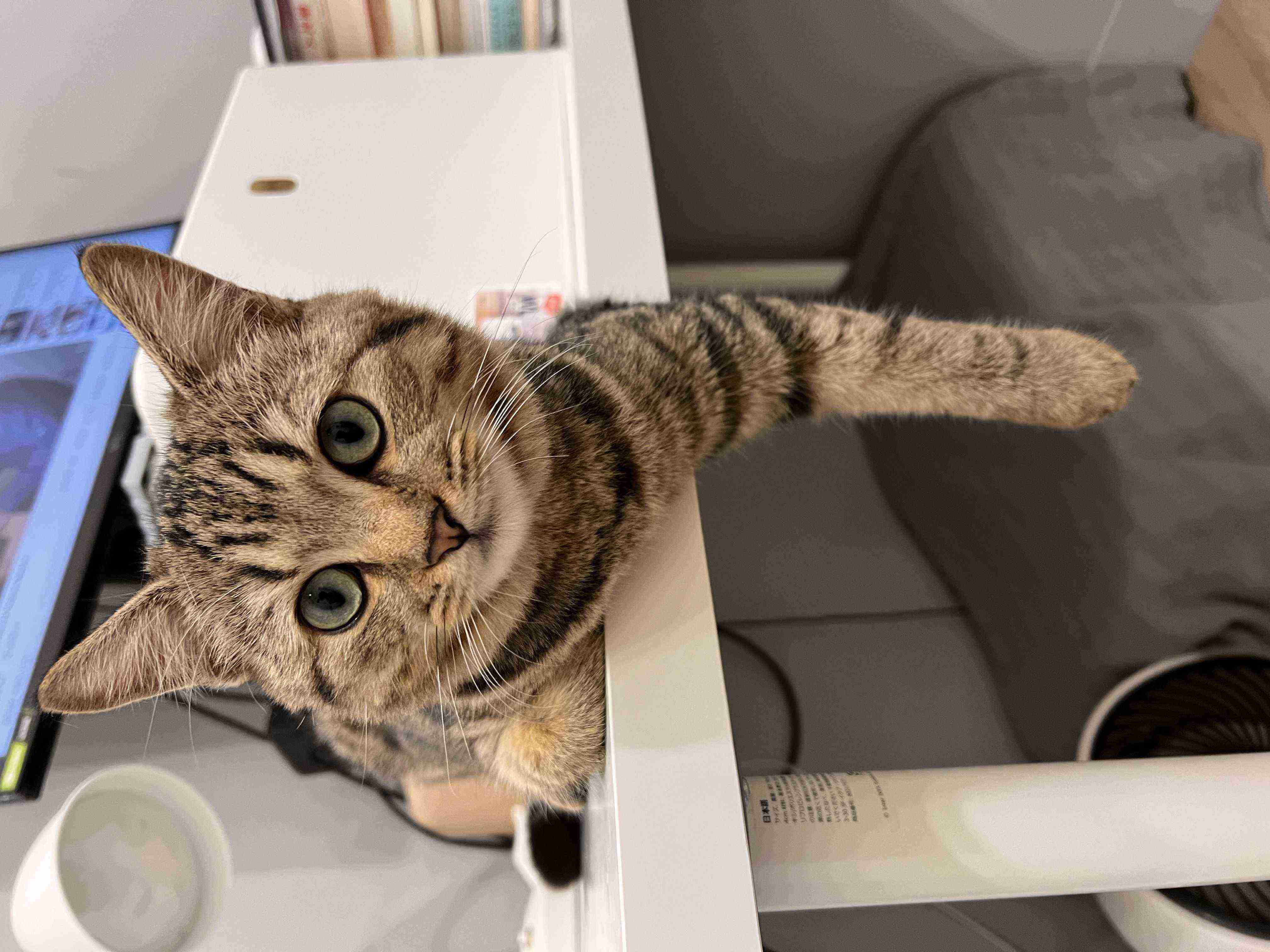 Gallery | Morris Yu-Chao Huang