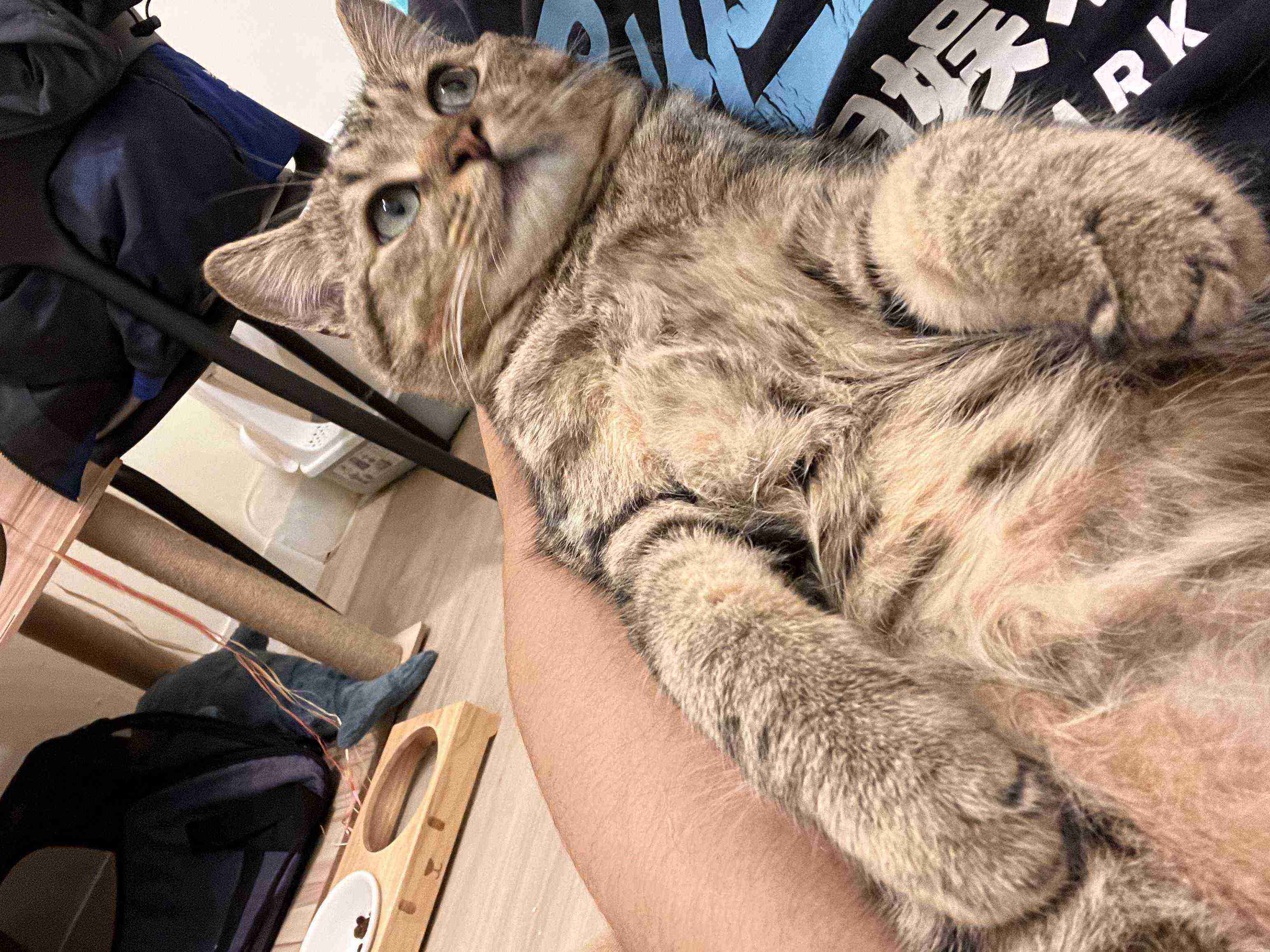 Gallery | Morris Yu-Chao Huang