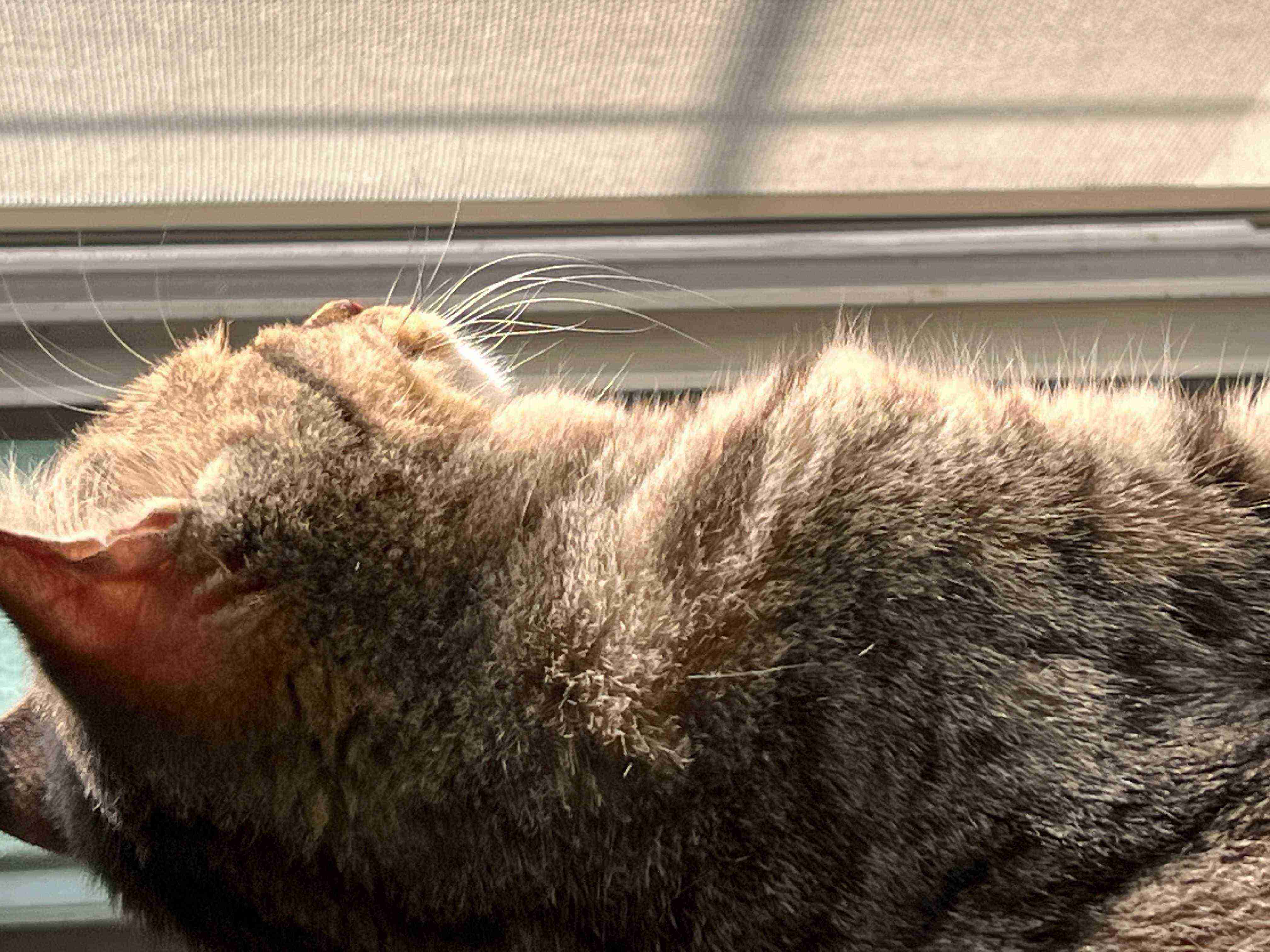 Gallery | Morris Yu-Chao Huang