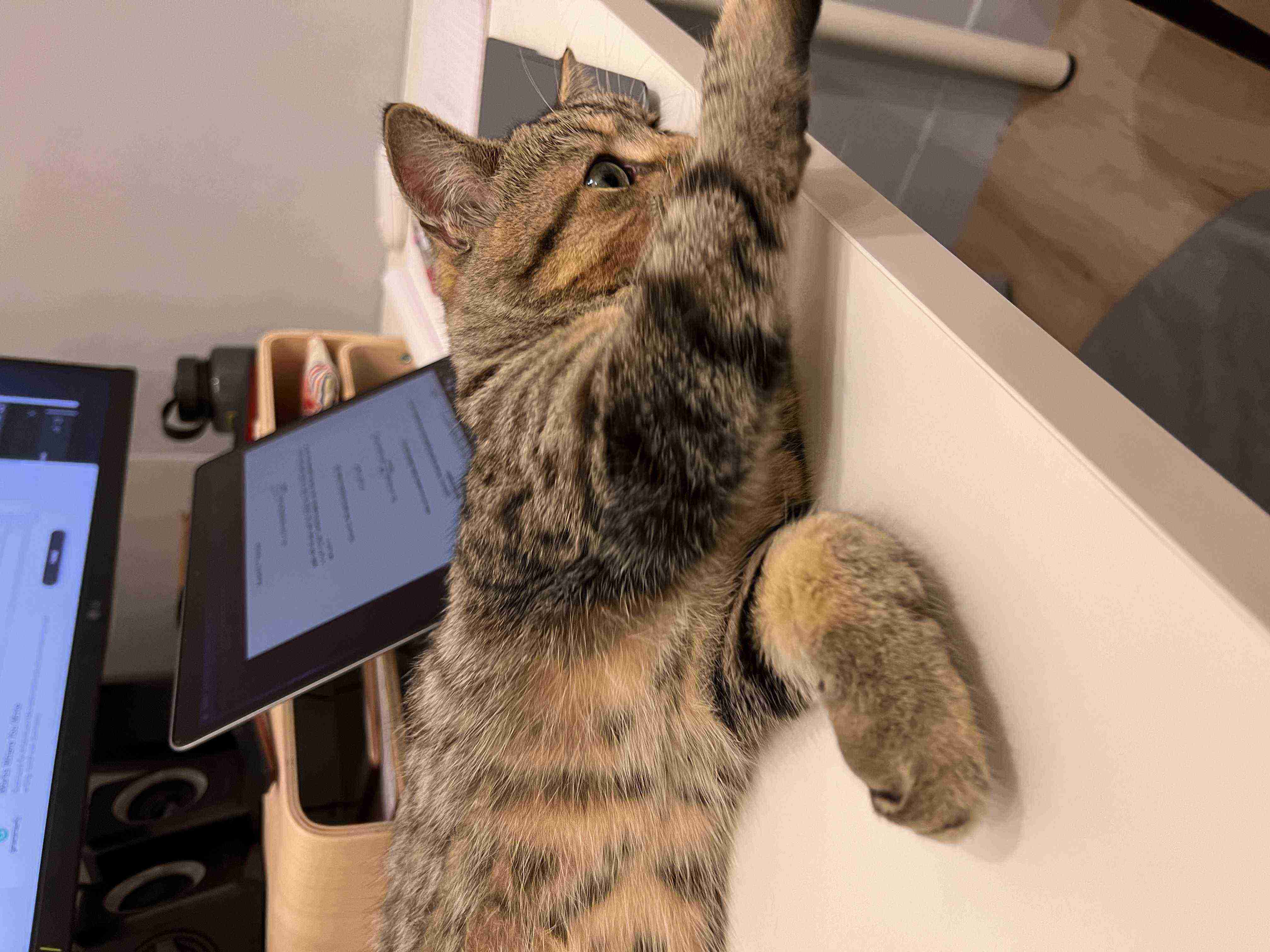 Gallery | Morris Yu-Chao Huang