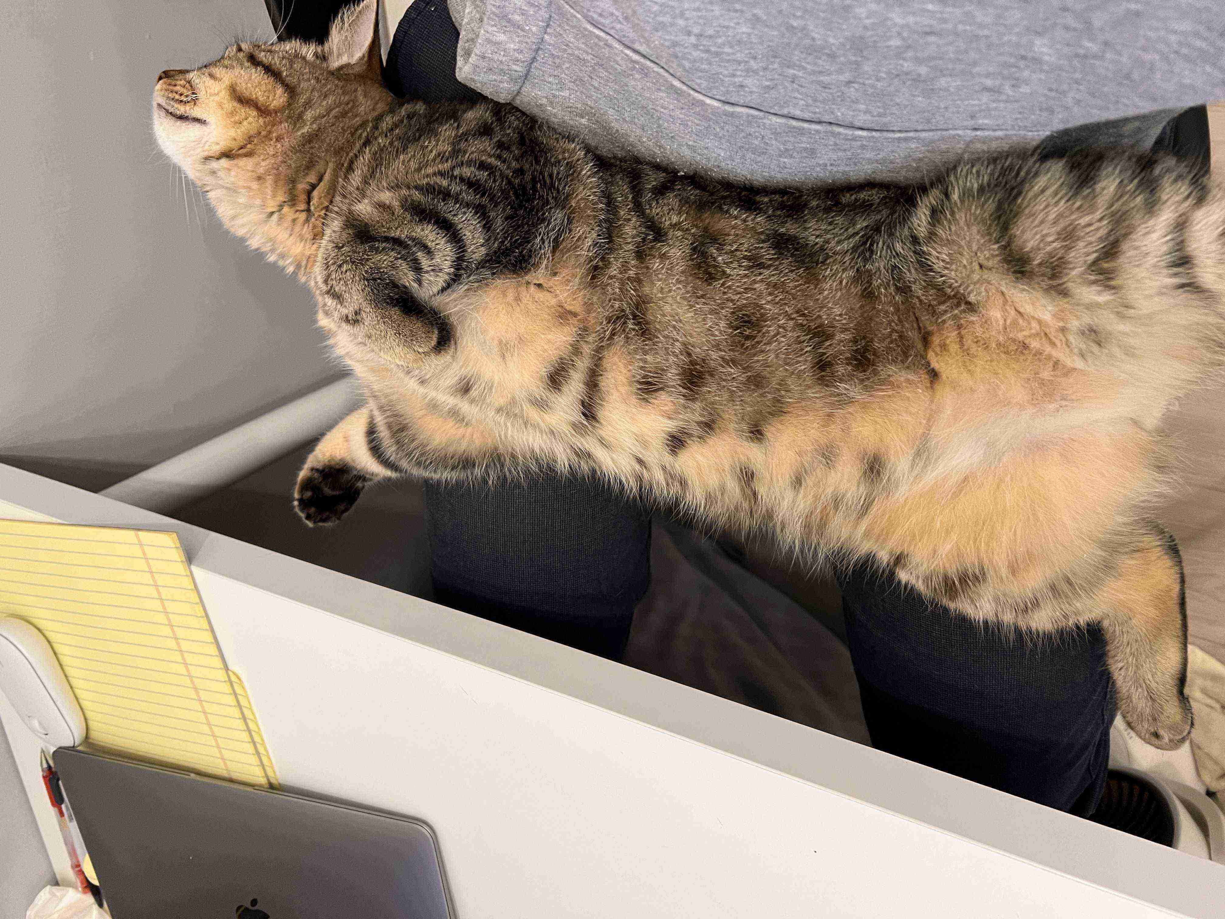 Gallery | Morris Yu-Chao Huang