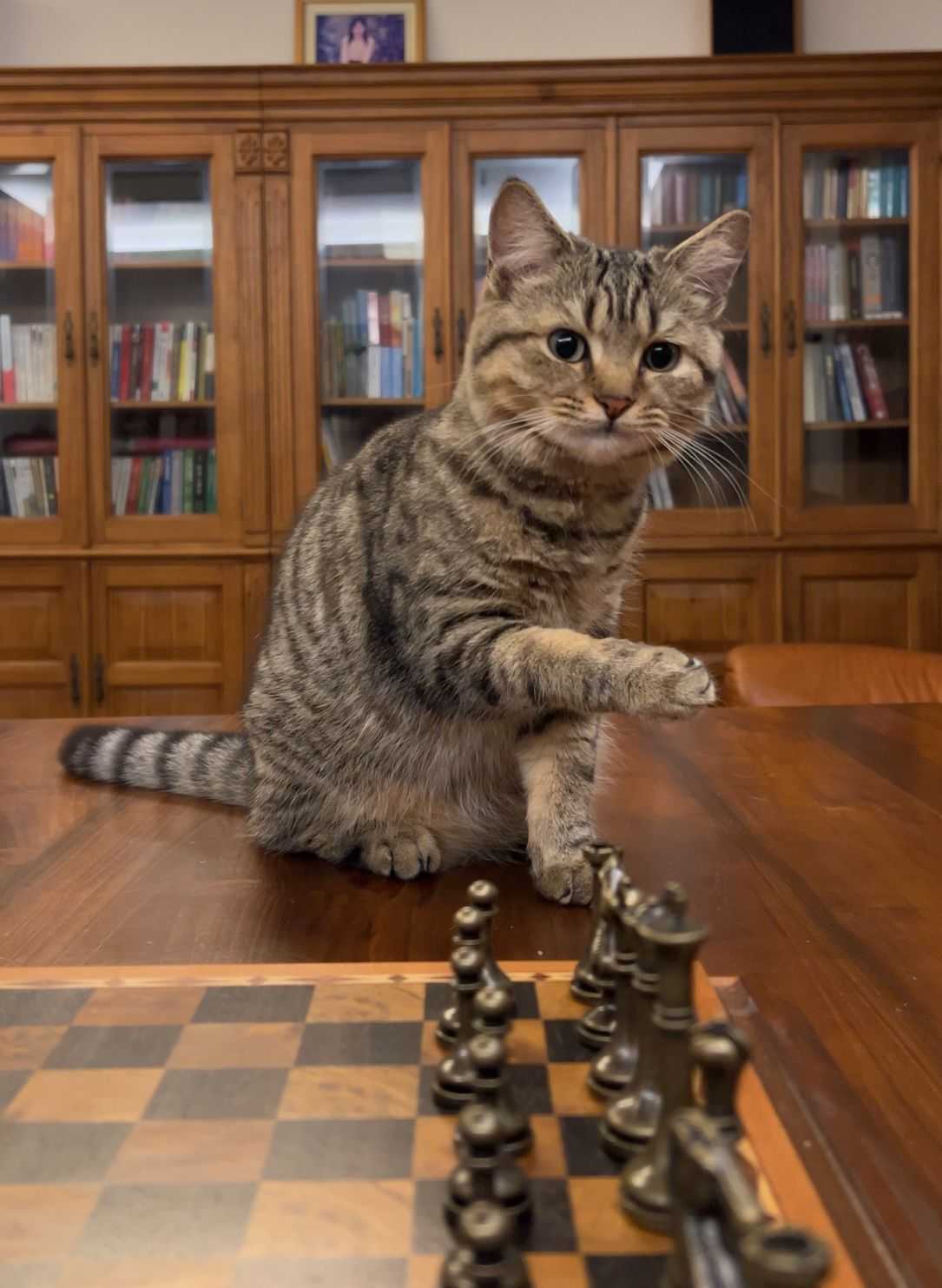 Gallery | Morris Yu-Chao Huang