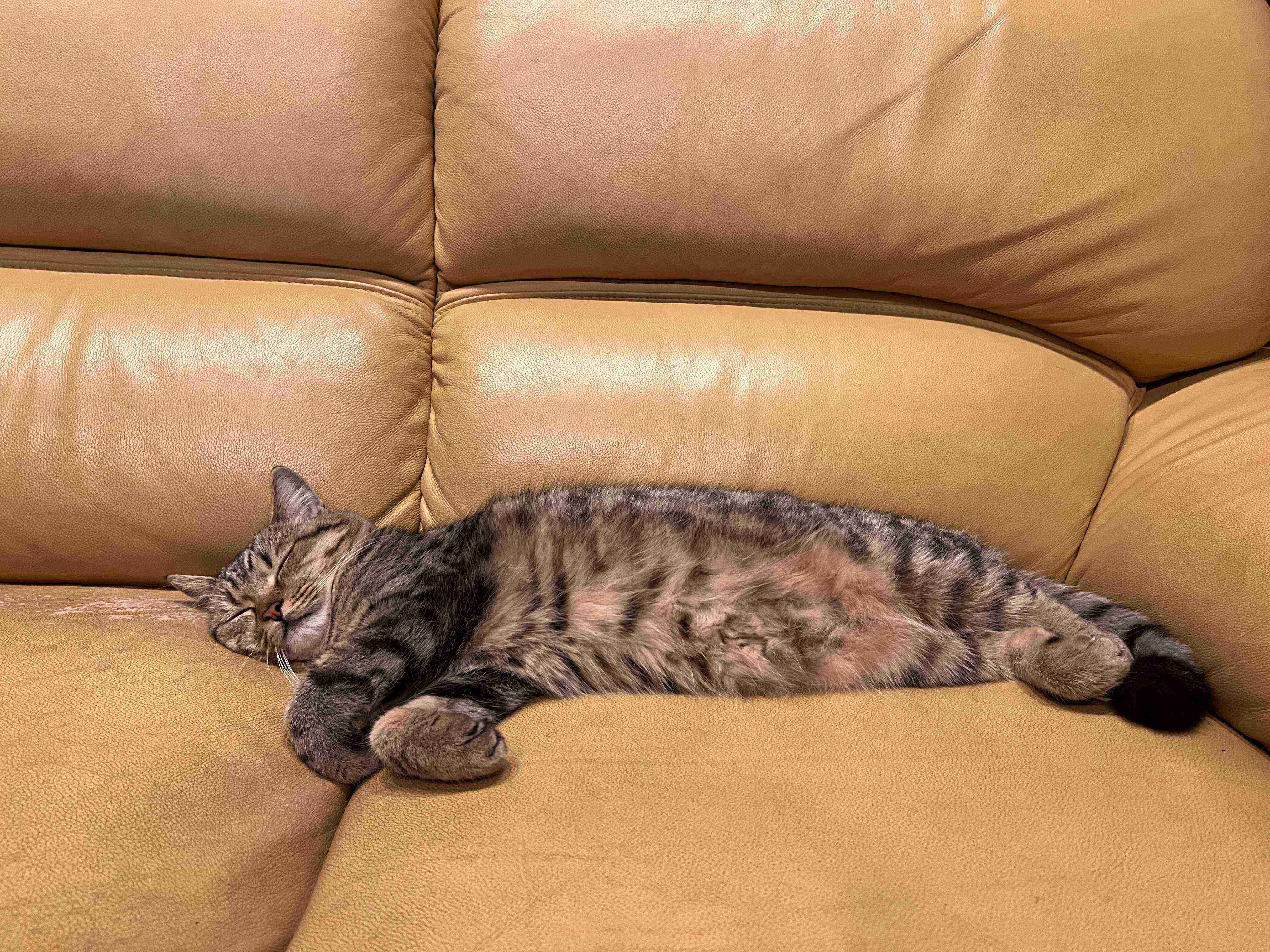 Gallery | Morris Yu-Chao Huang