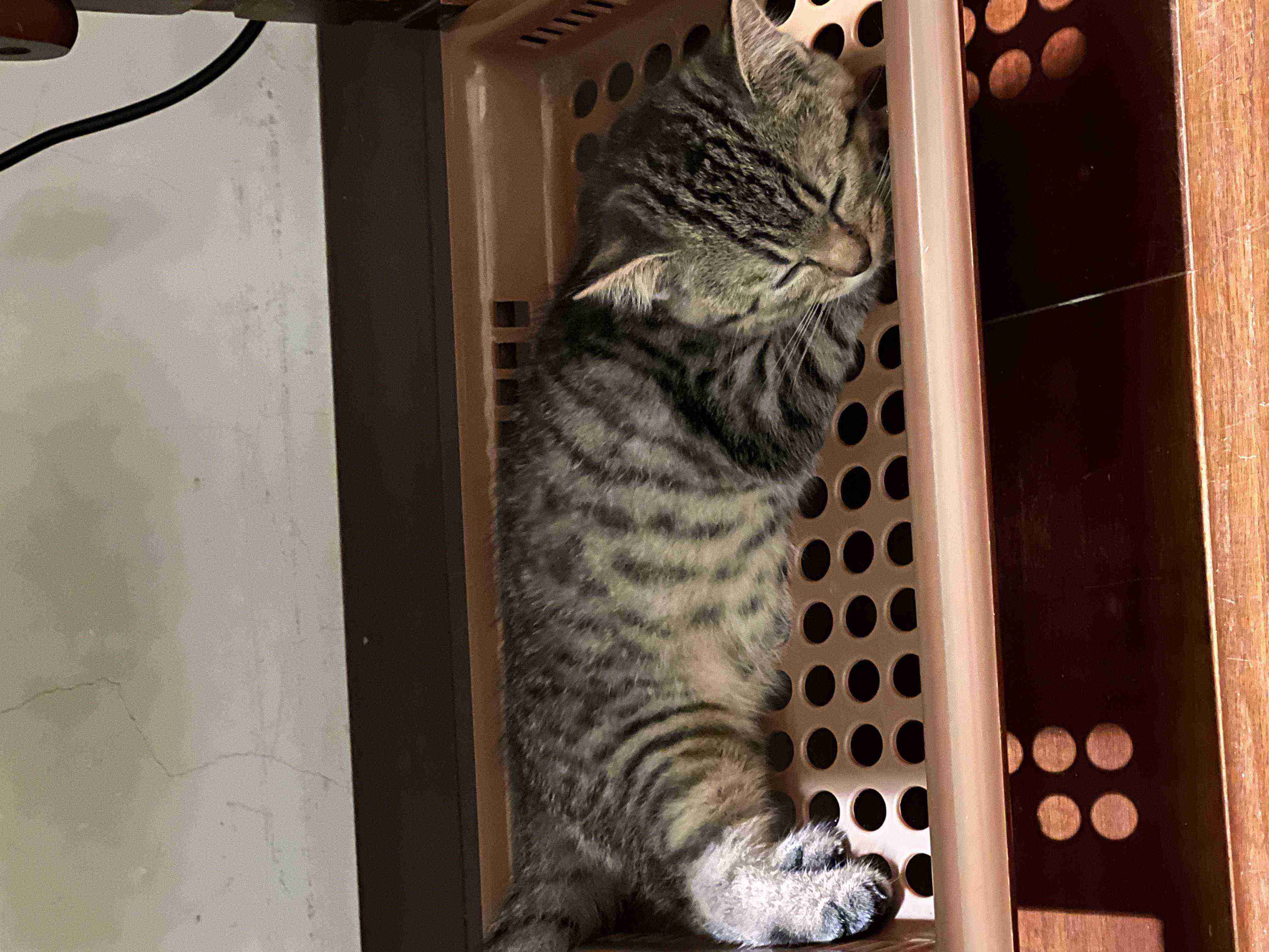 Gallery | Morris Yu-Chao Huang