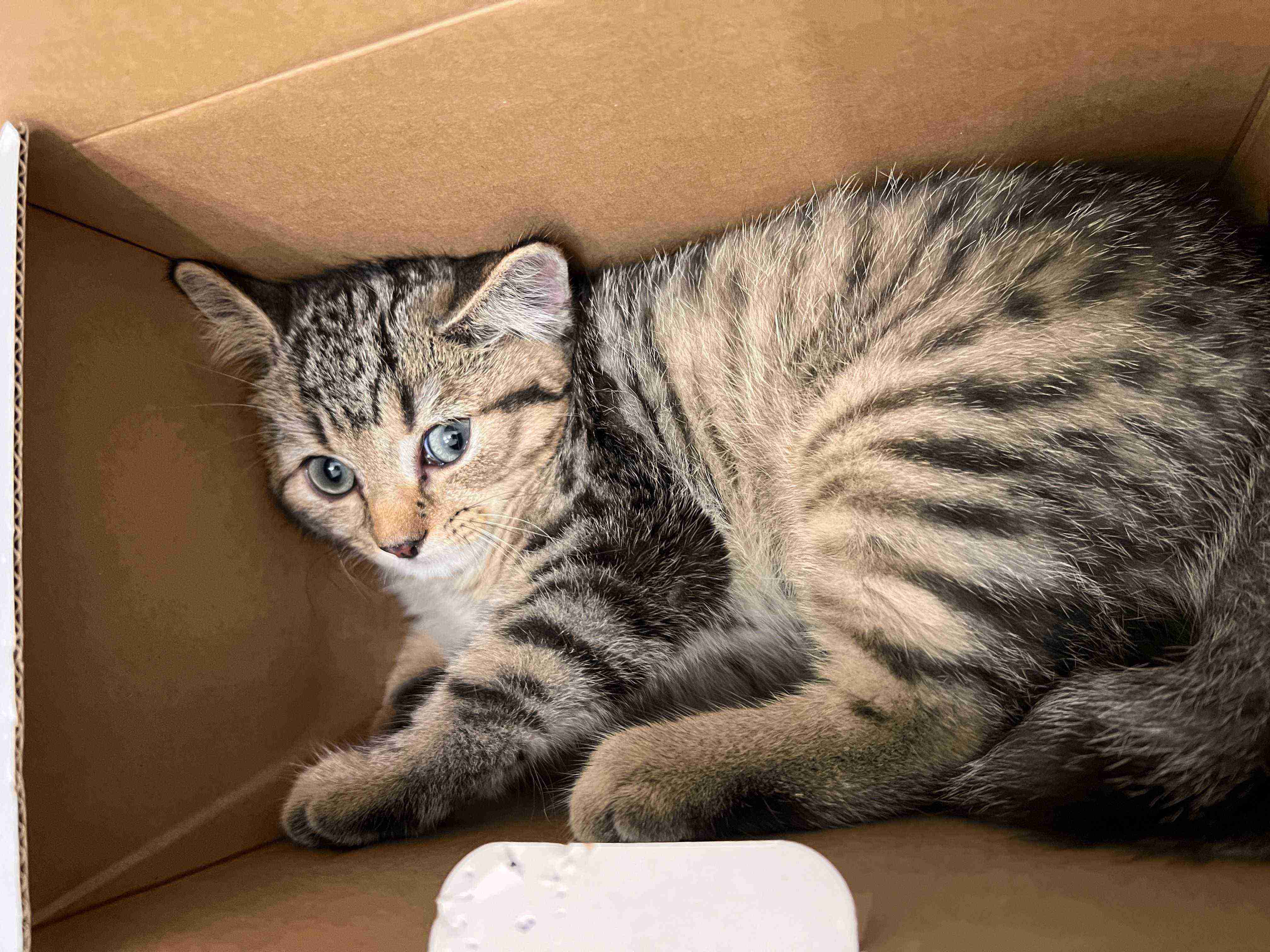 Gallery | Morris Yu-Chao Huang