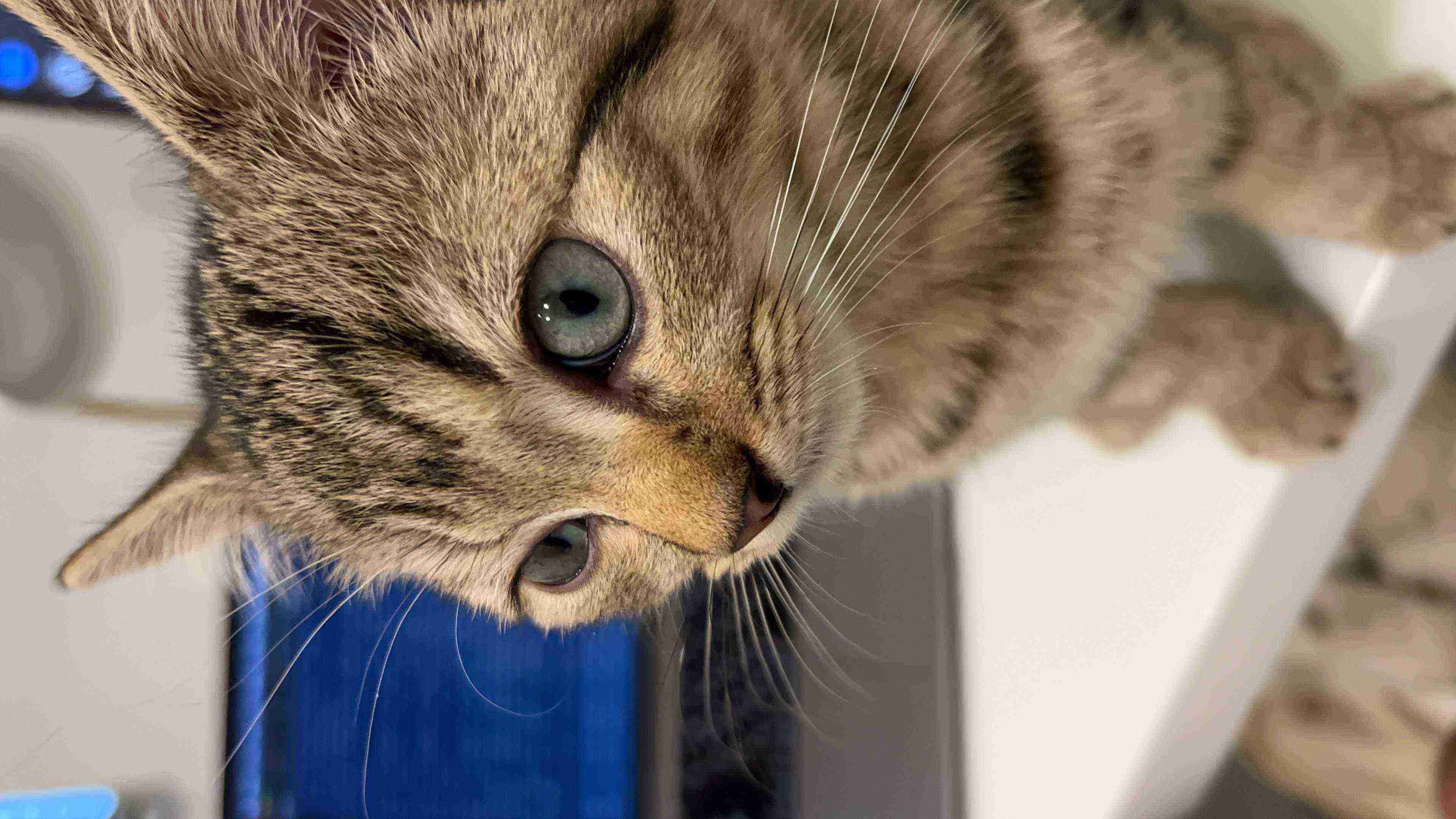 Gallery | Morris Yu-Chao Huang