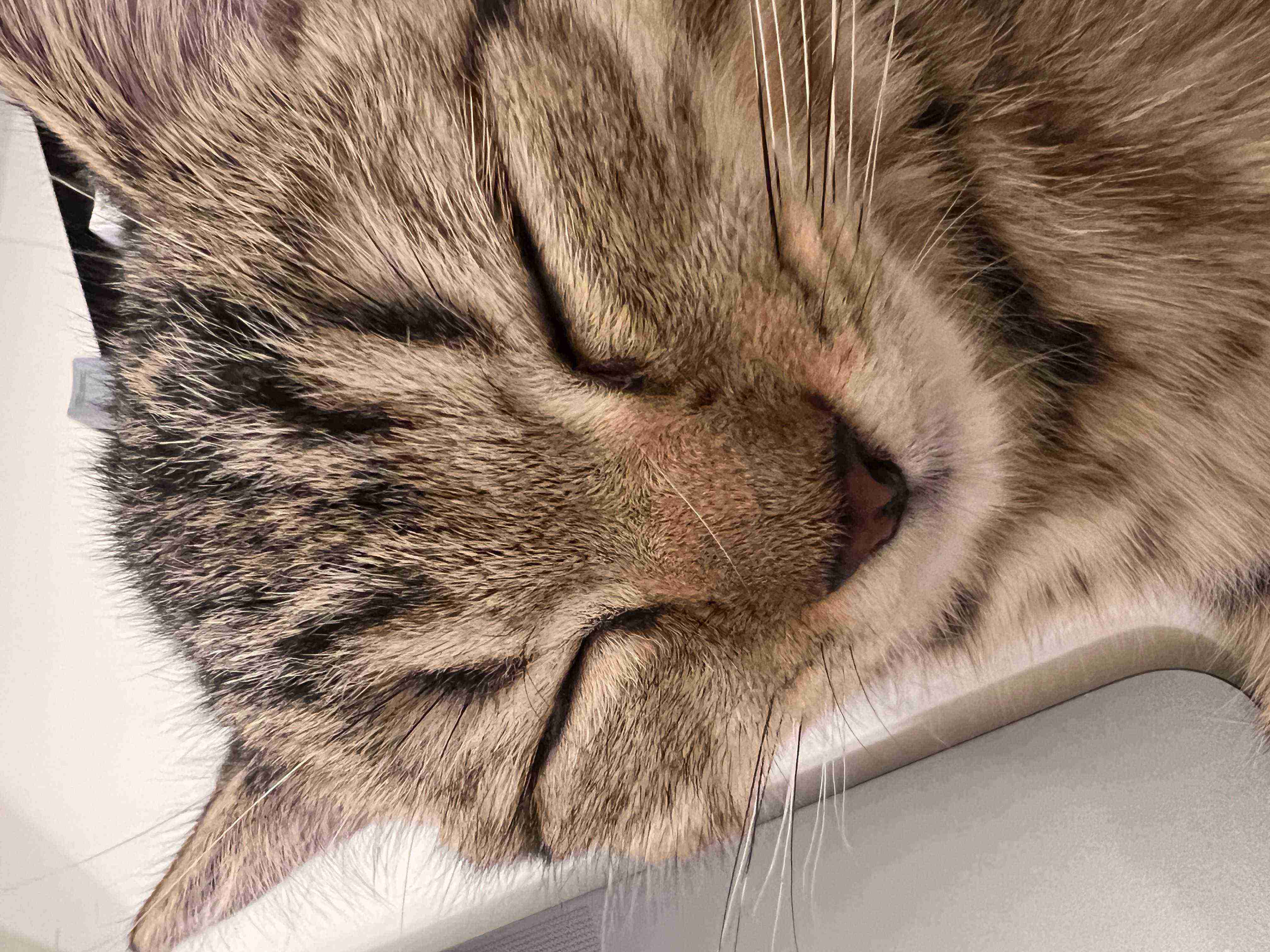 Gallery | Morris Yu-Chao Huang